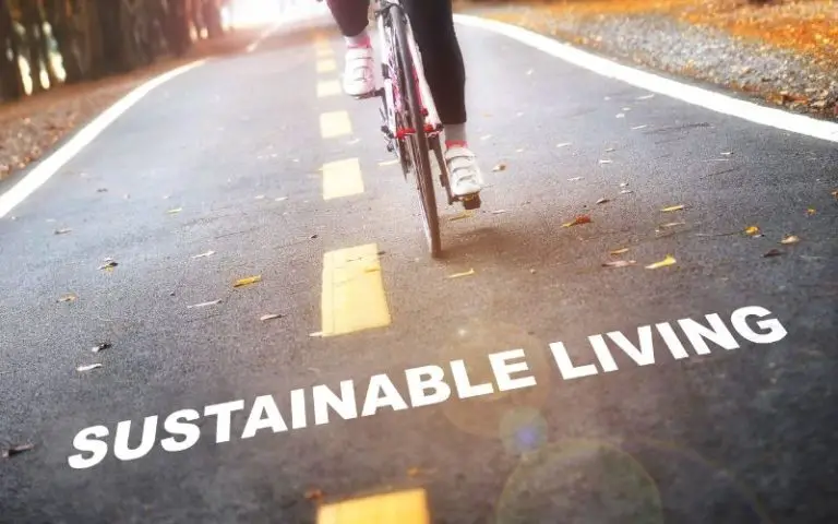 100 Ways to Live More Sustainably