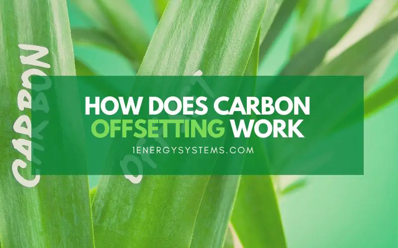 How Does Carbon Offsetting Work How Does Carbon Offsetting Work